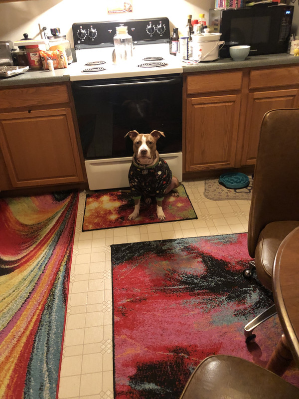 02 F4 E847 81 E0 4910 80 EA 108839 DD427 E — Postimages