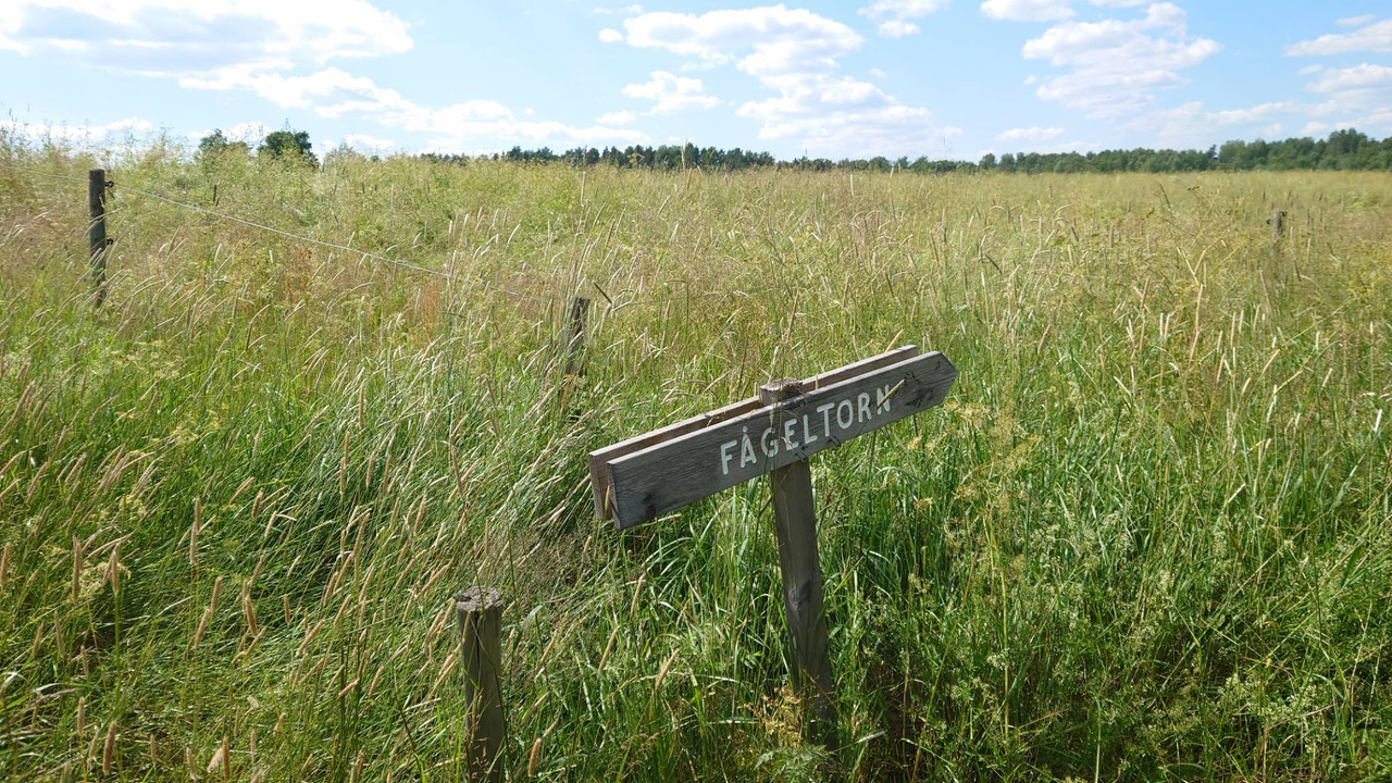 DSC 0727 — Postimages