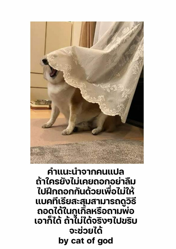 sa (150) — Postimages