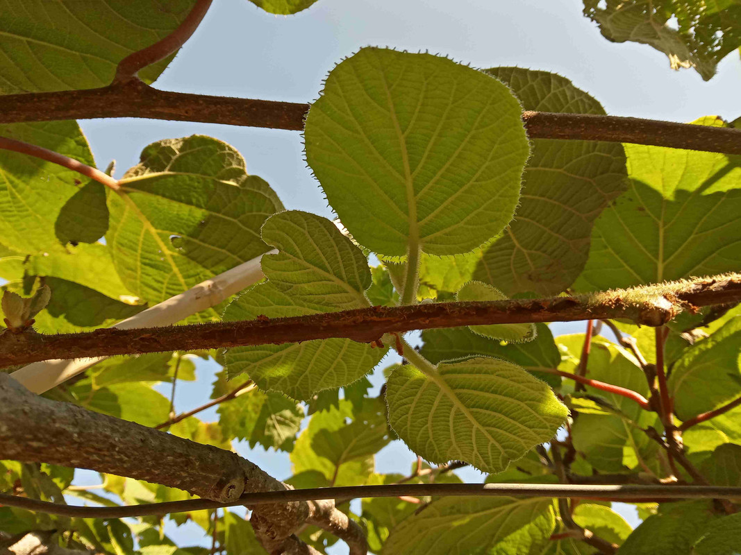 MG 20230915 111604 — Postimages