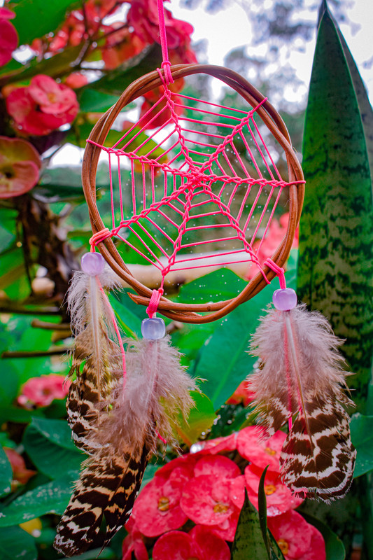 DSC0141 — Postimages