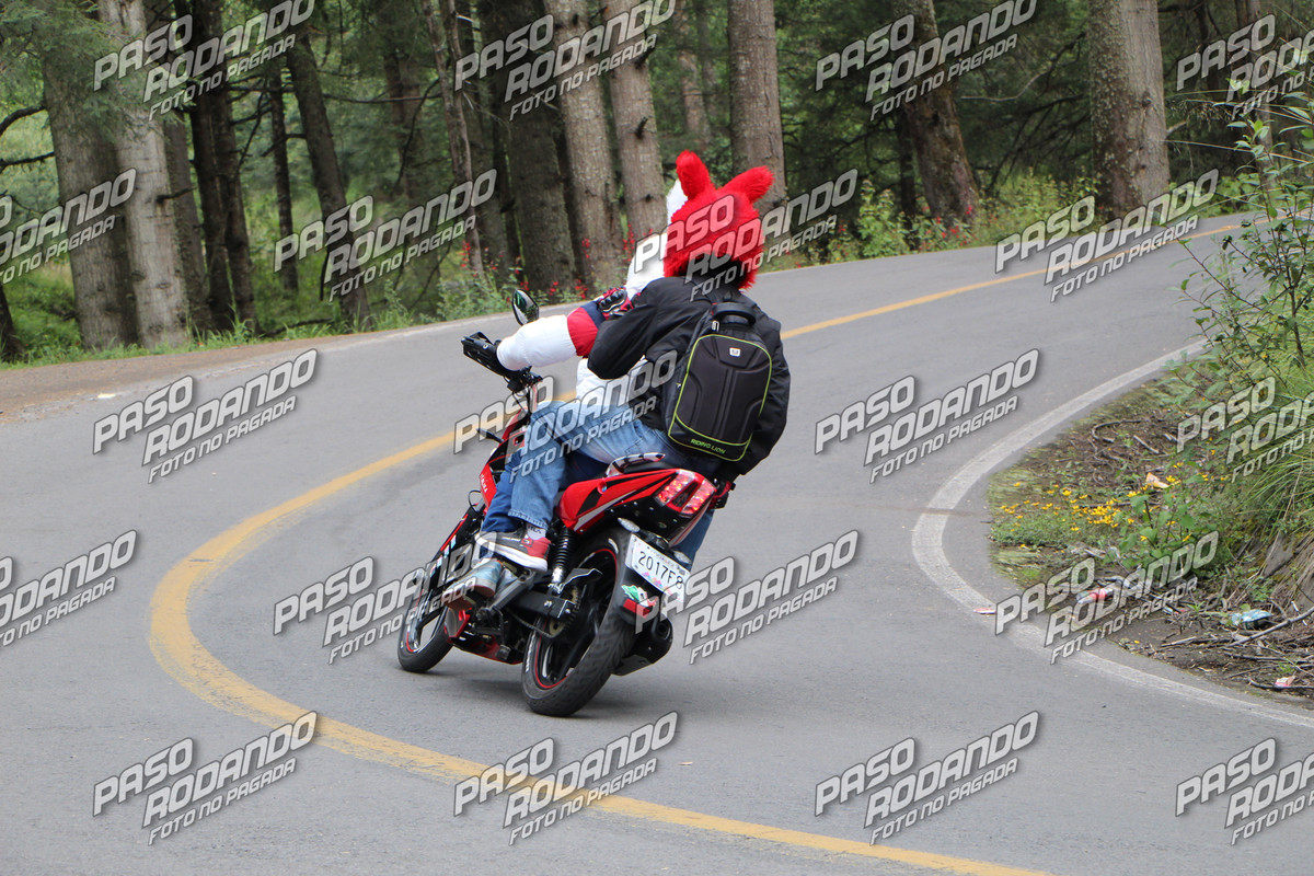 IMG 2294 wm 142429 69999999972 watermarked — Postimages