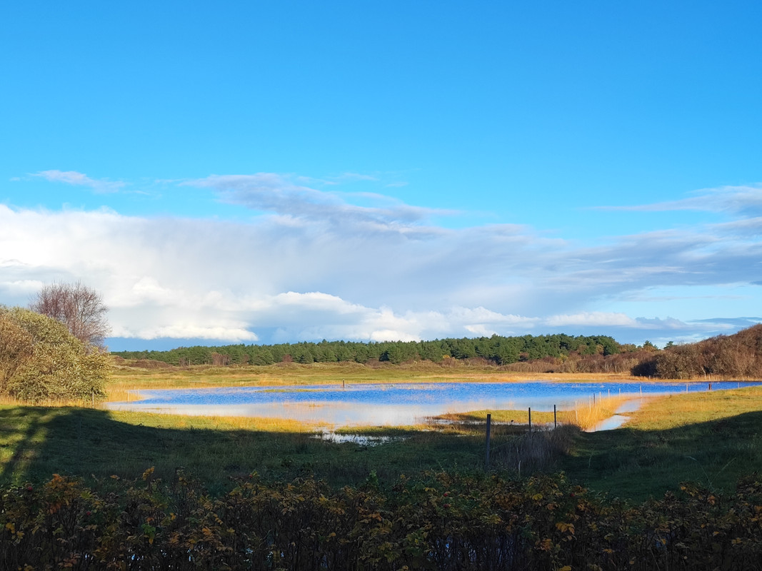 IMG 20231112 150801 — Postimages