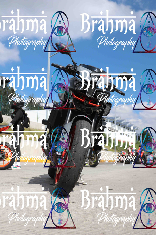 IMG 1245 — Postimages