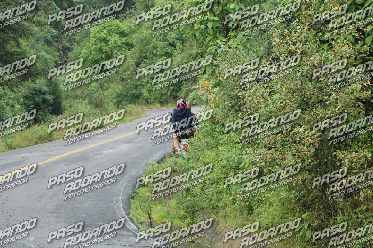 IMG 4511 — Postimages