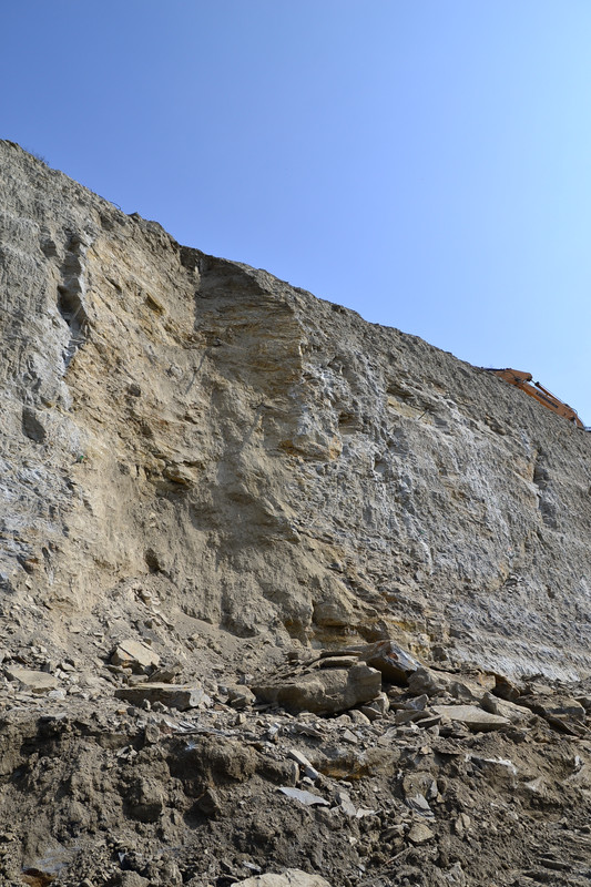 DSC 2338 — Postimages