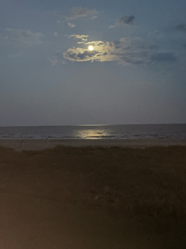 97 C3 F2 AE FF9 E 44 CB A3 FA 610 BF9 EC59 F4 — Postimages