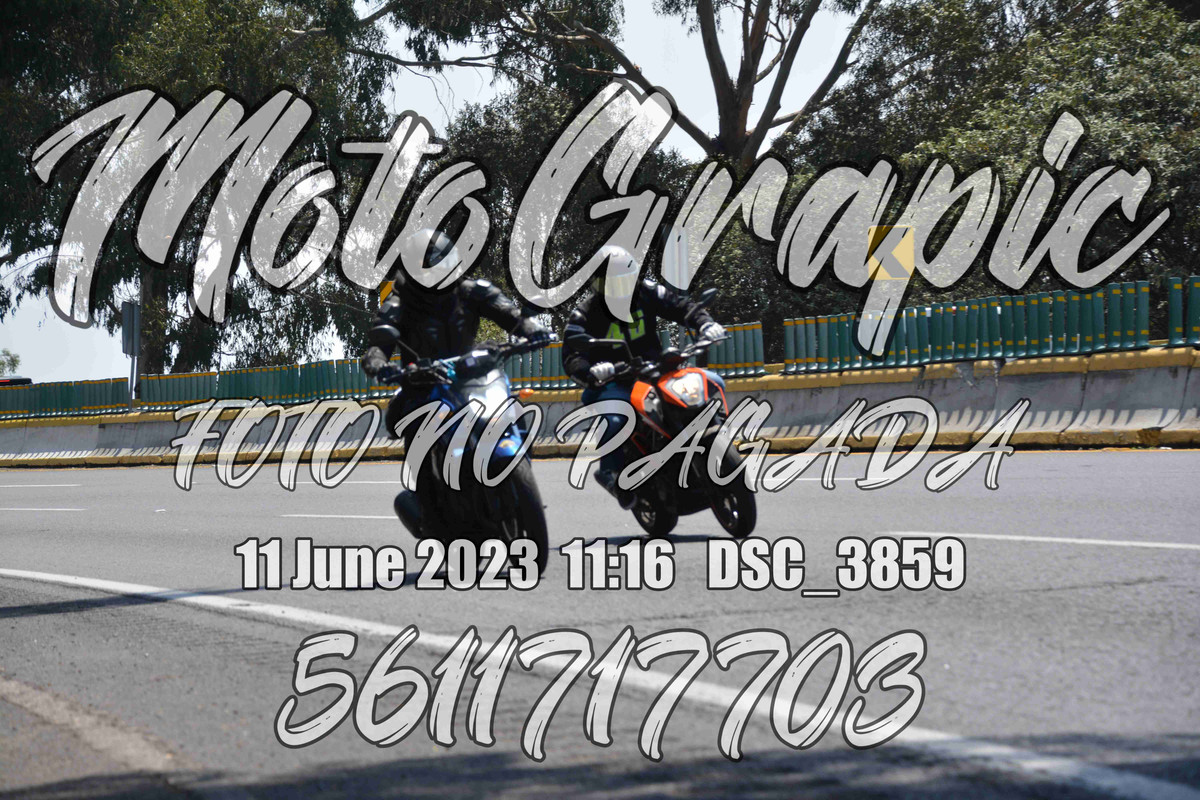 motgr DSC 3859 — Postimages