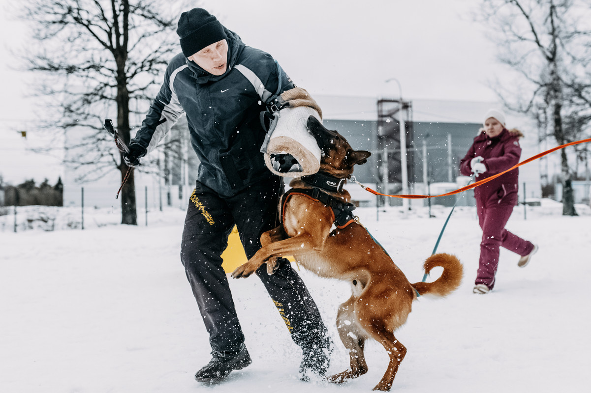 IMG 2589 (2) — Postimages