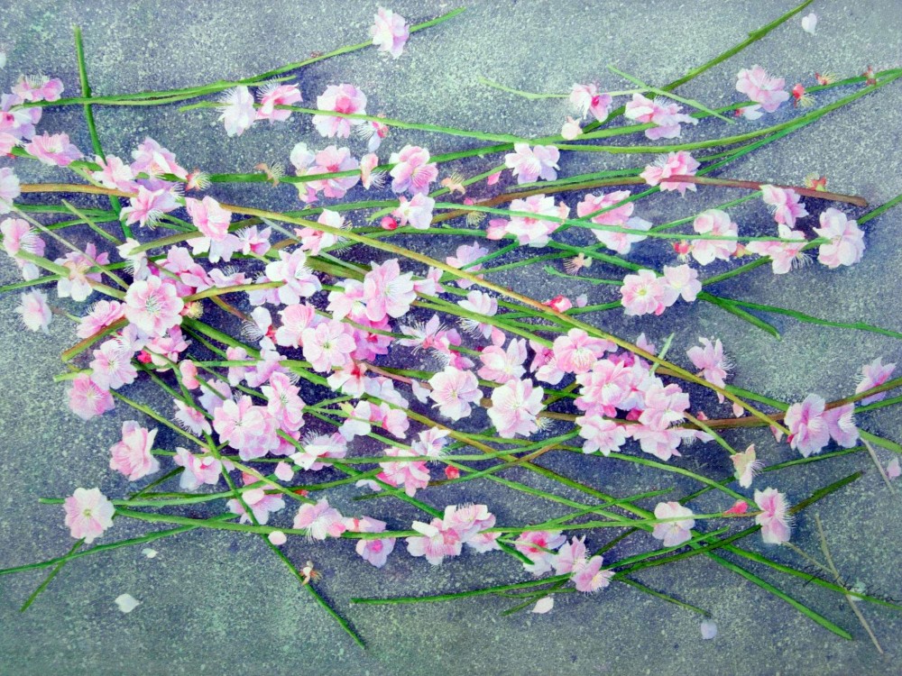 Акварели японской художницы Yu Hoshino: kolybanov — LiveJournal