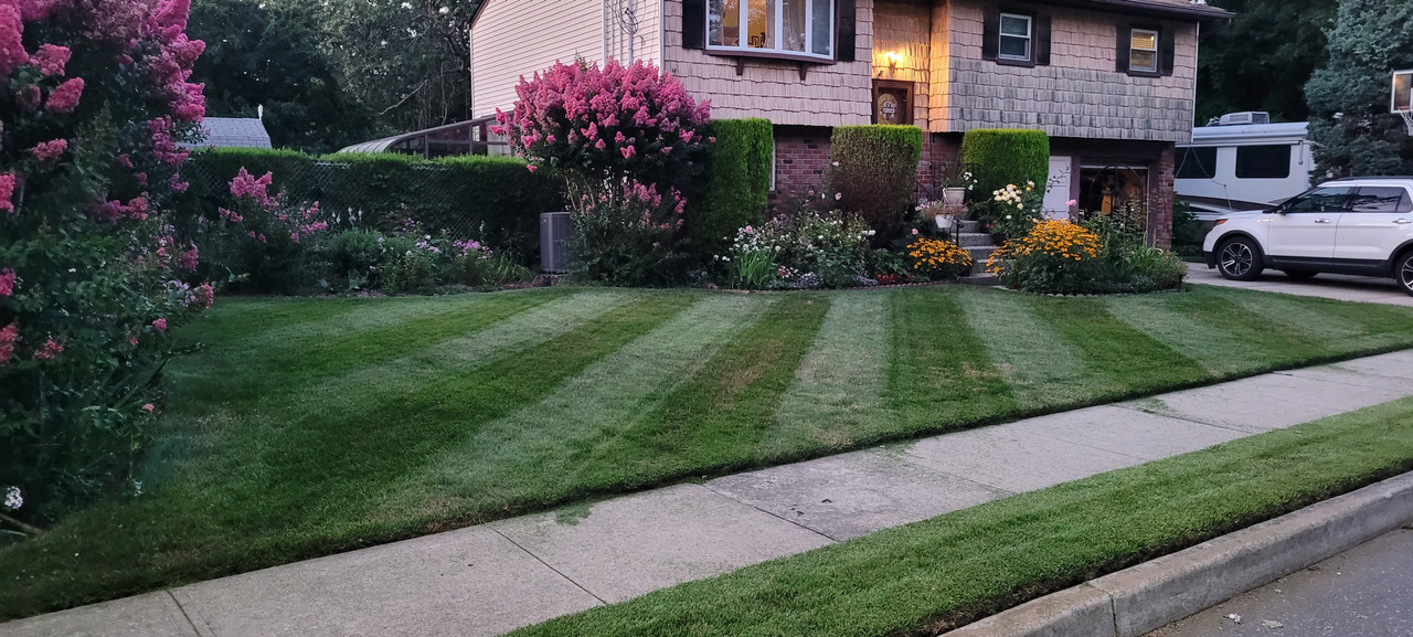 20210805 201957 — Postimages