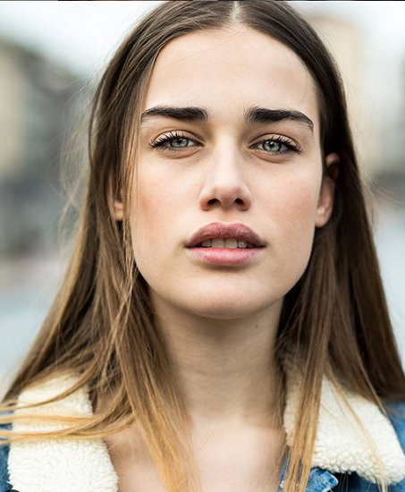 Classify Italian model