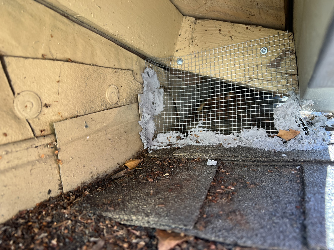 Rodent proofing a roof - is this normal? : r/HomeImprovement