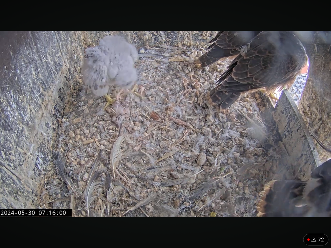 IMG 1219 — Postimages