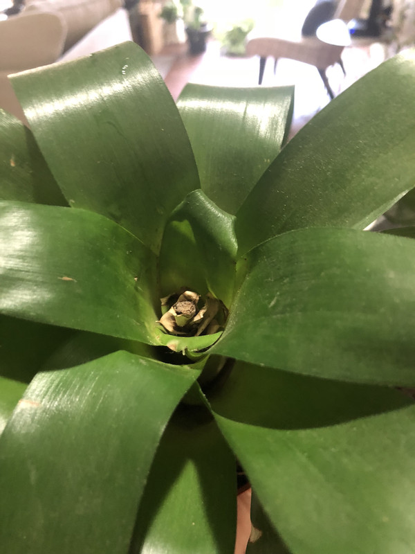 36 DBA535 1204 4 E36 9 B34 CA30 C18 C828 F — Postimages