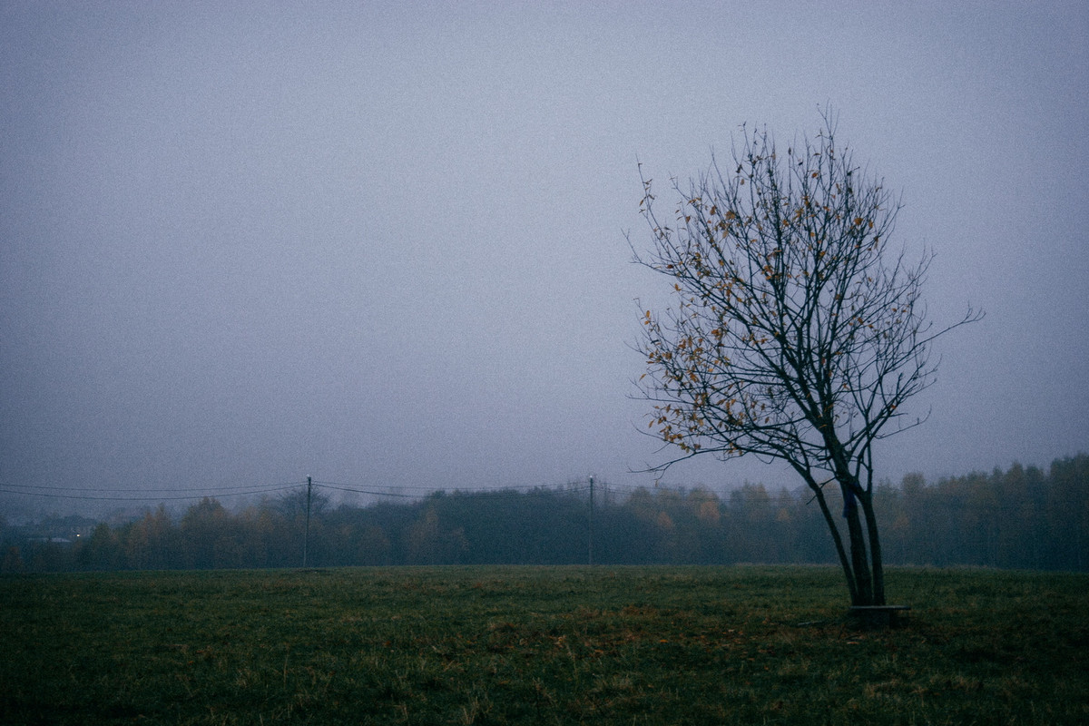 0118 2020 10 12 IMG 0876 — Postimages