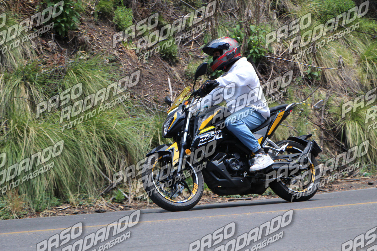 IMG 8686 wm 8975774 100000001 watermarked — Postimages