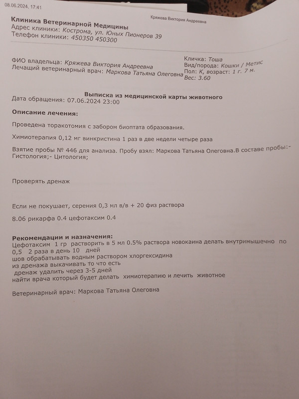 IMG 20240609 180328 722 — Postimages