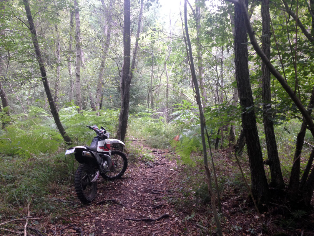 IMG 1244 — Postimages