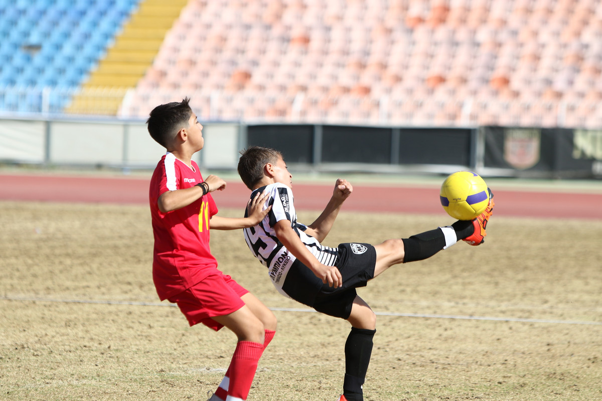 VIK 2377 — Postimages