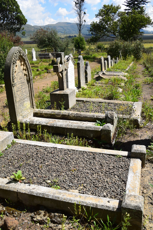 DSC 0146 — Postimages