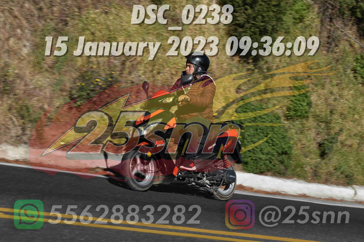 DSC 0238 — Postimages