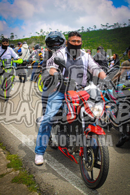 pal1s 100 — Postimages