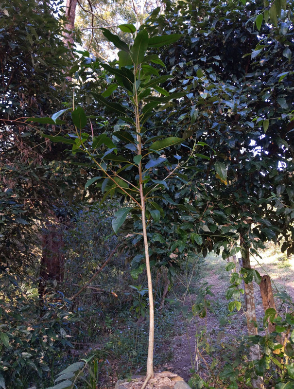 Imagepipe 1406 — Postimages