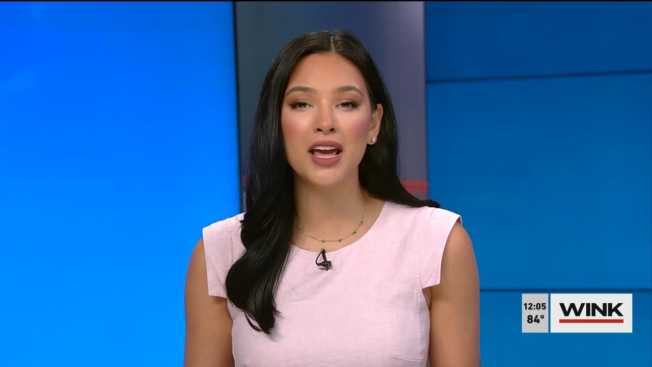 05 03 17 00 00 The WINK Noon News ᴺᵉʷ Midday news update ts snapshot 11 ...