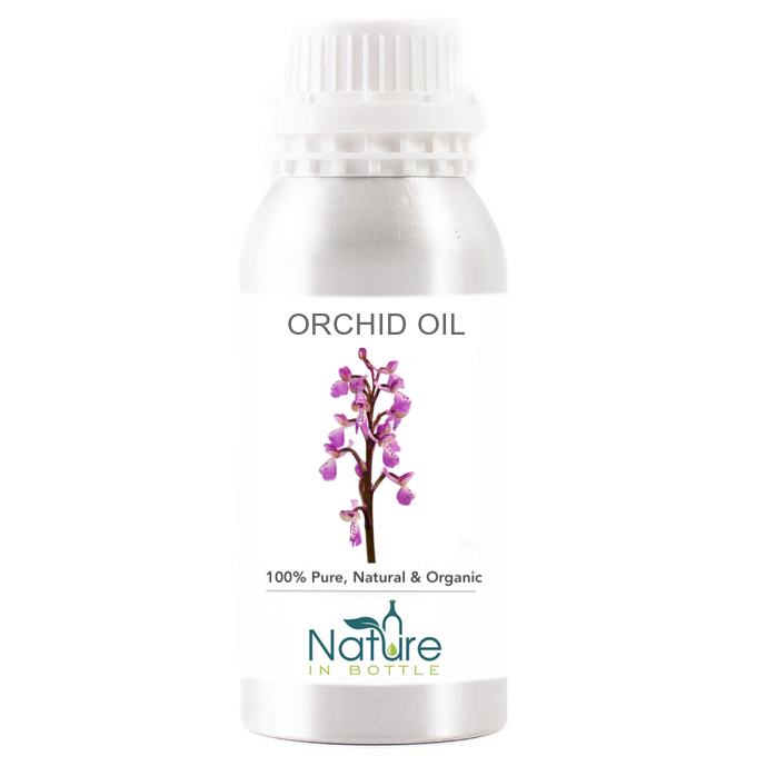 Orchis Morio Orchid Flower Extract | Best Flower Site