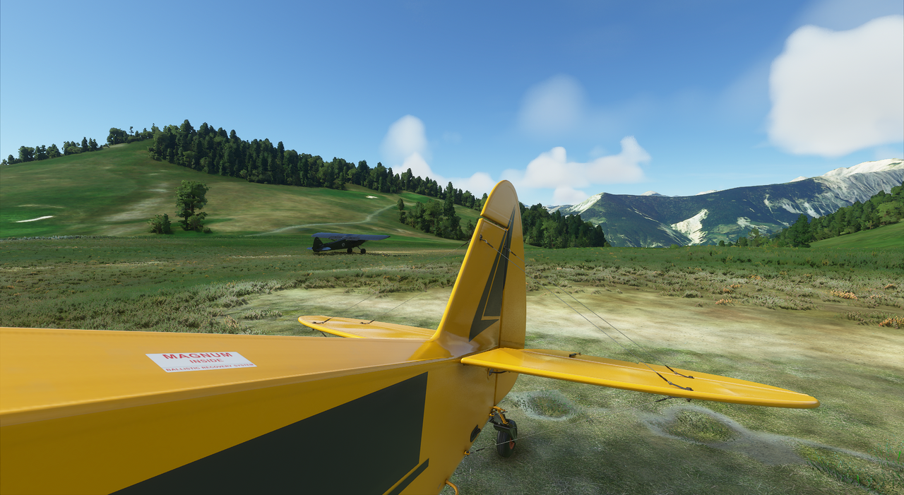 Bush flying adventures...in France? - Microsoft Flight Simulator (2020/ ...