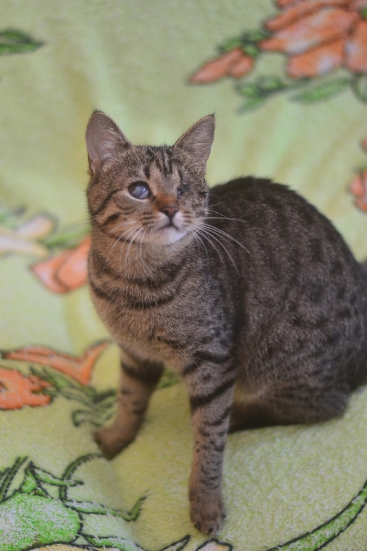 DSC 0762 — Postimages