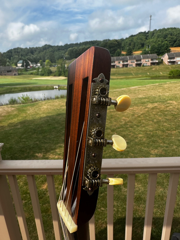 IMG 2452 — Postimages