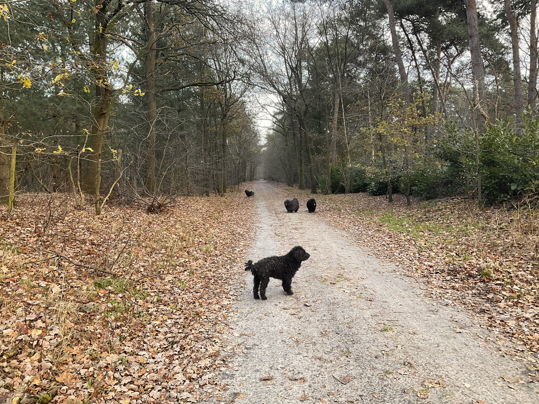 IMG 3553 — Postimages