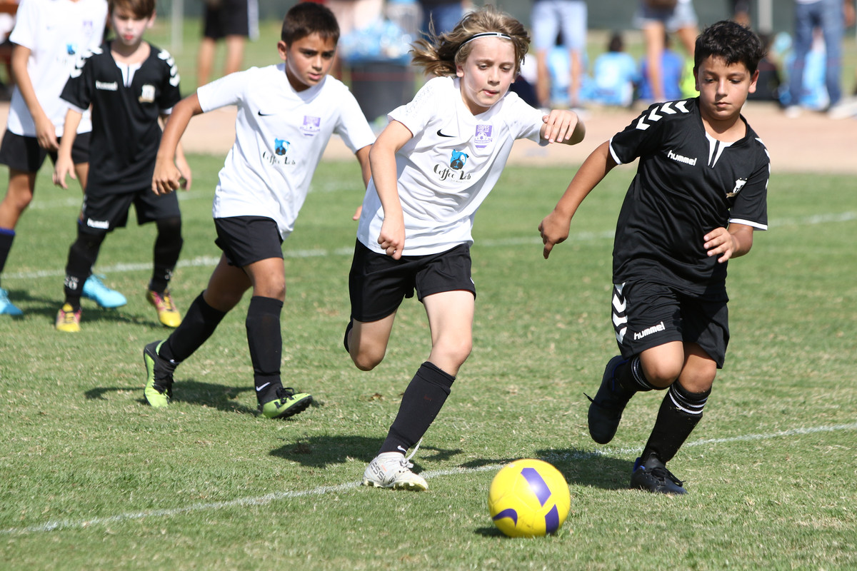 VIK 9784 — Postimages