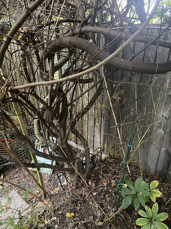 IMG 7102 — Postimages