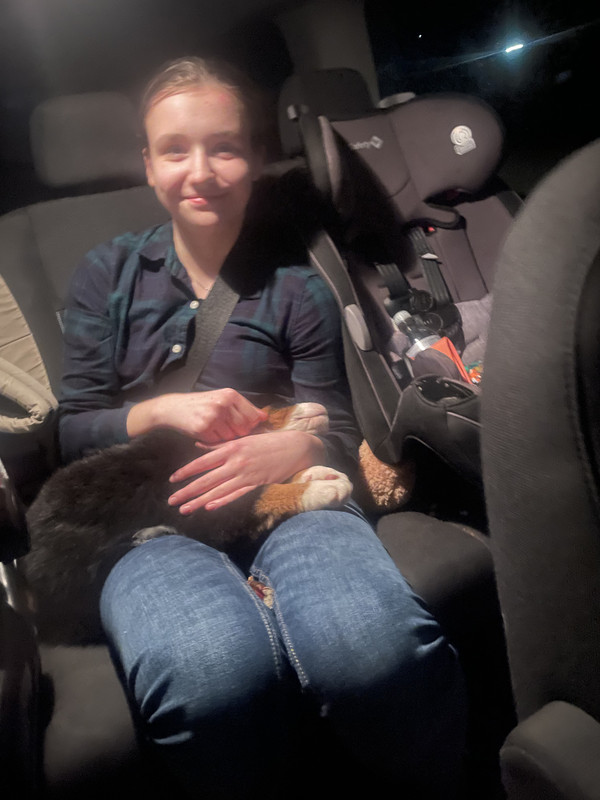 615015 E1 6556 4 D31 A0 ED 111 FB0 AB3348 — Postimages