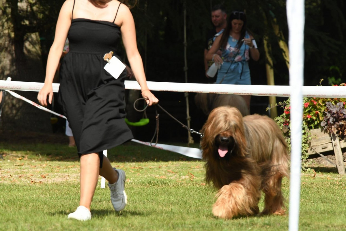 DSC 7475 — Postimages