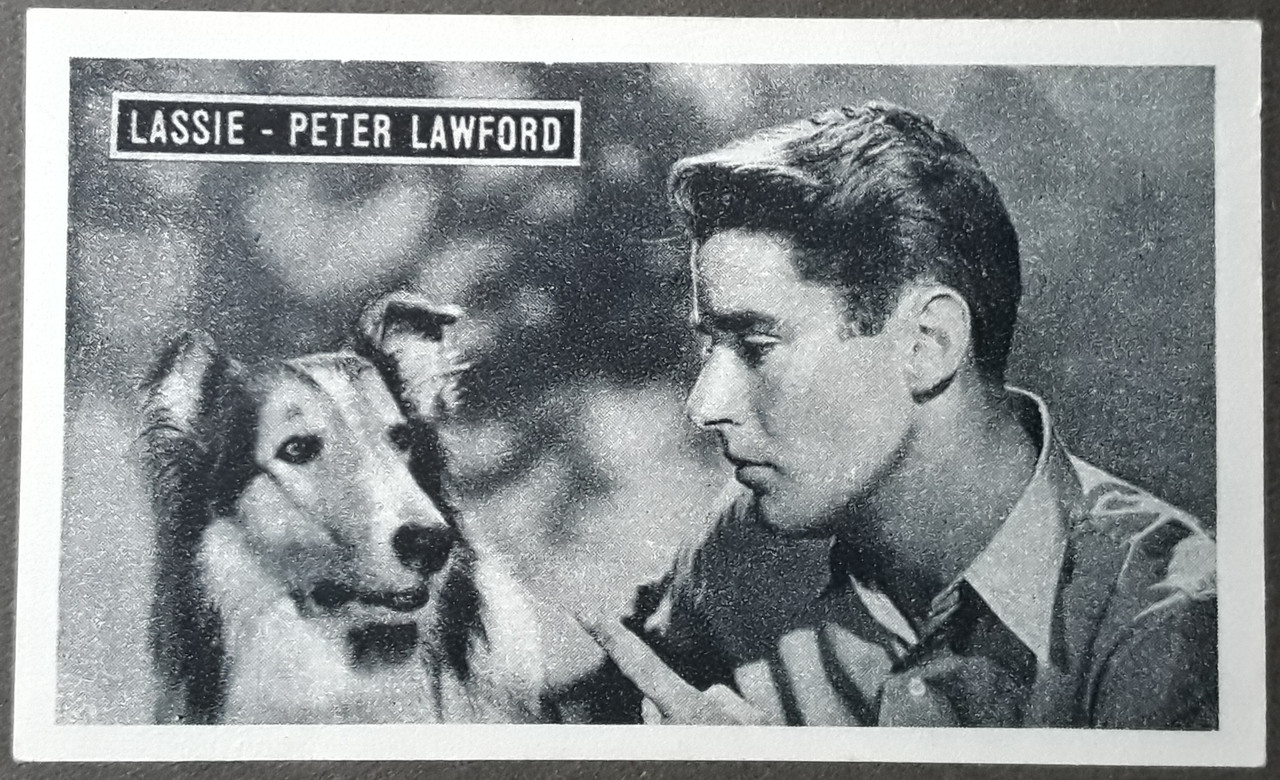 20240319 170549 — Postimages