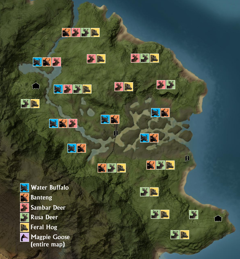 PB Animals — Postimages