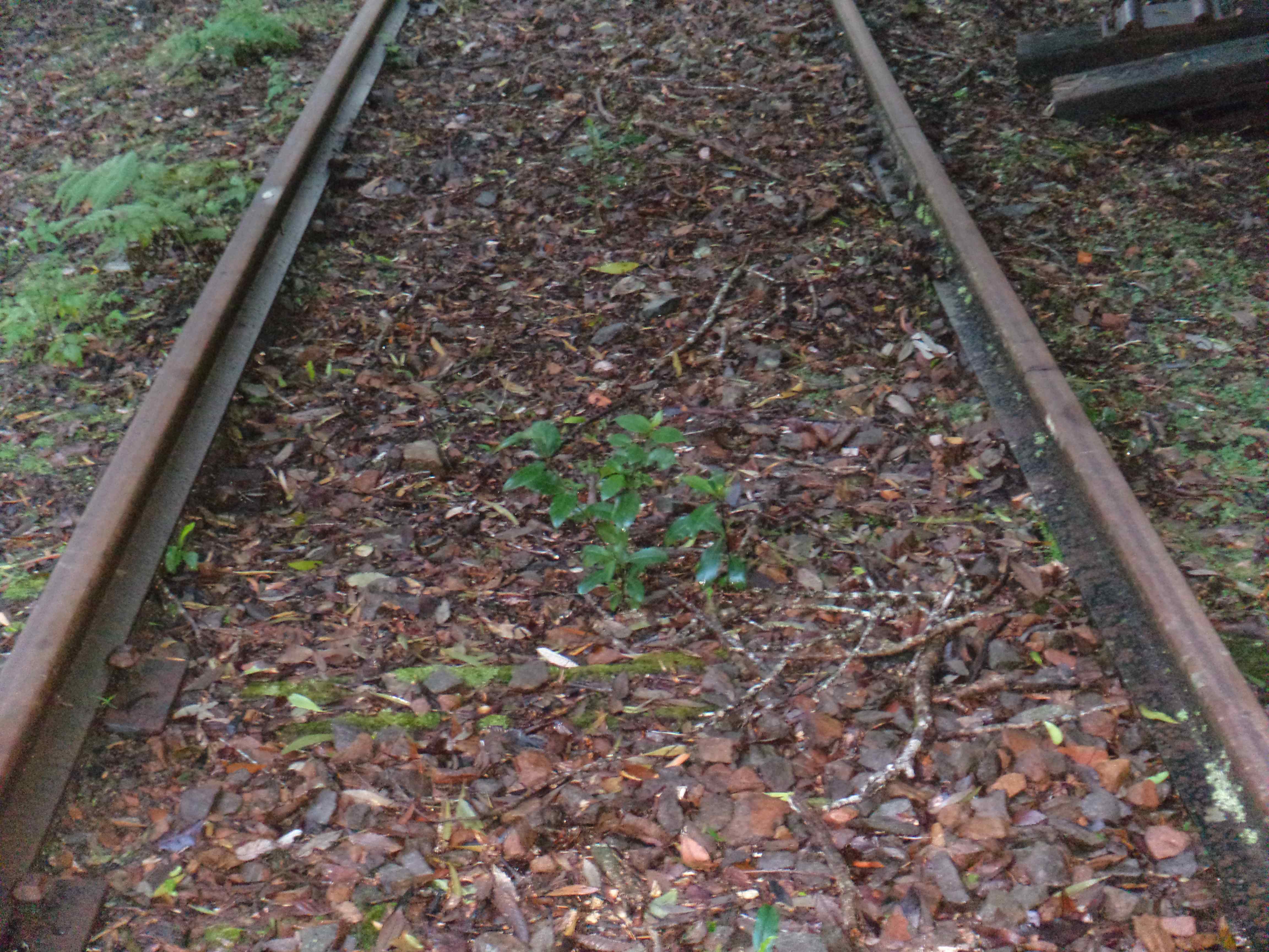 GMR 1 — Postimages