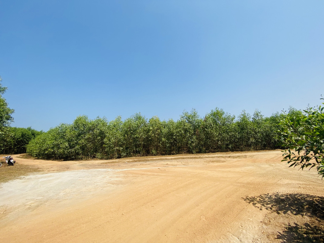 IMG 1100 — Postimages