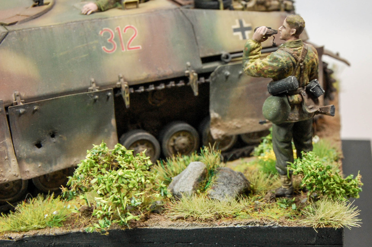 Tratado DSC 6017 — Postimages