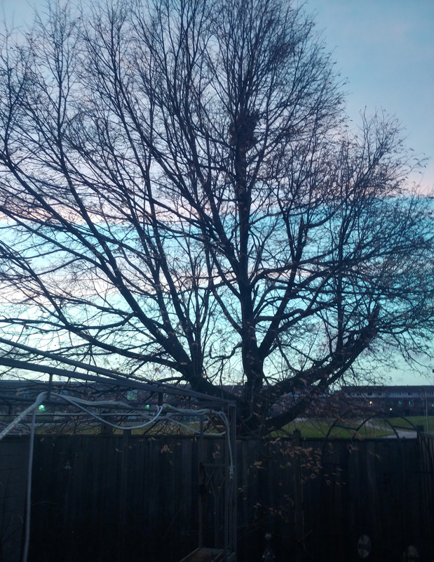 Post your own photographs thread | Steve Hoffman Music Forums
