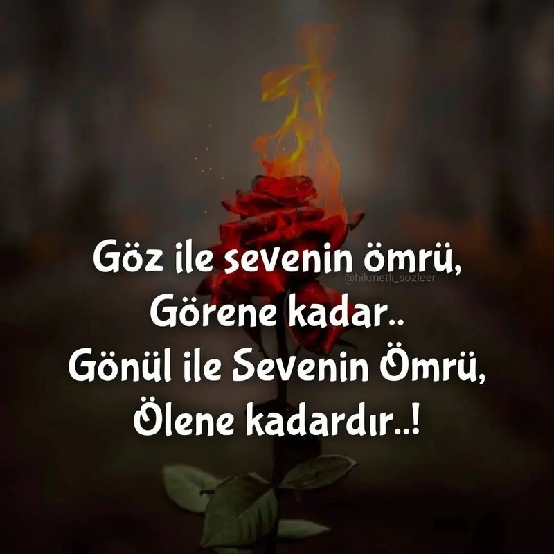 Snapinsta app 1080 325475856 211369074700471 5666137124967071491 n ...