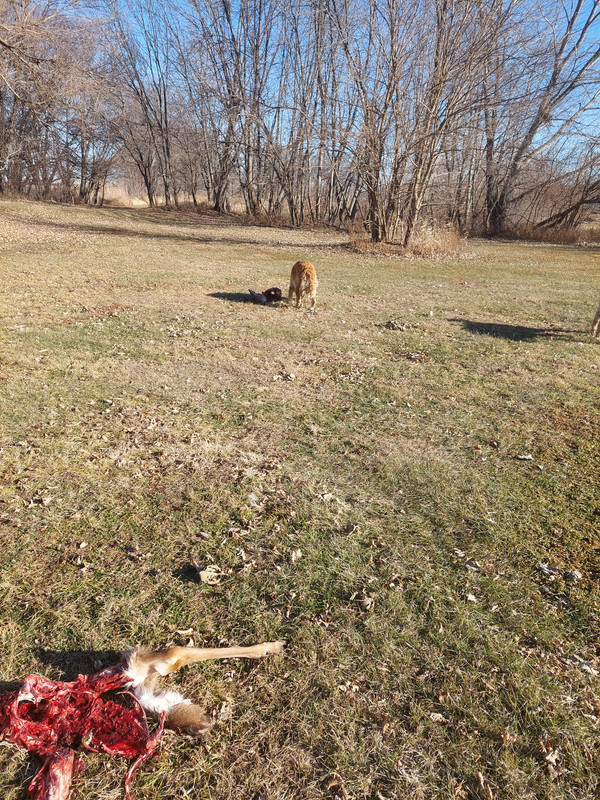 20221201 133455[1] — Postimages