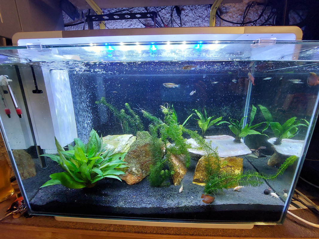 20230112 151300 — Postimages