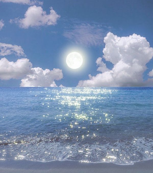 Journal | Layouts | Quotev