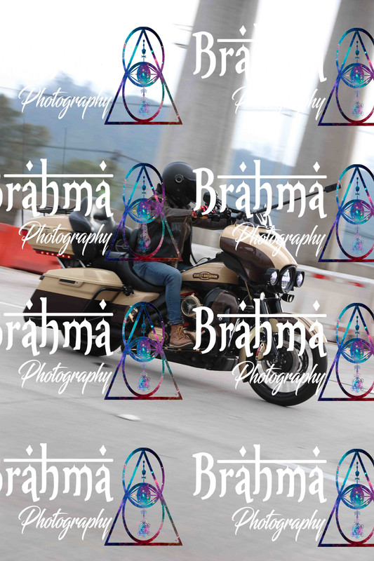 IMG 8427 — Postimages