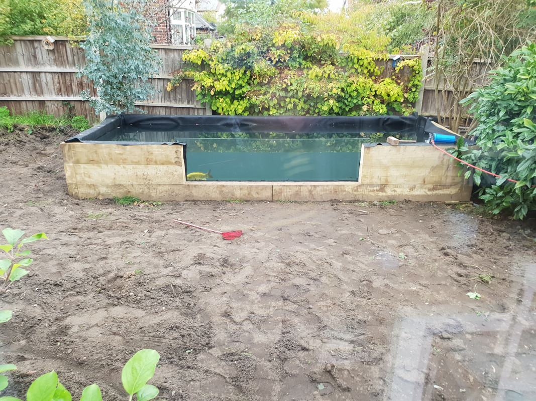 New 5m x 1.8m sleeper pond with window - Your Pond Forum - Pond Life
